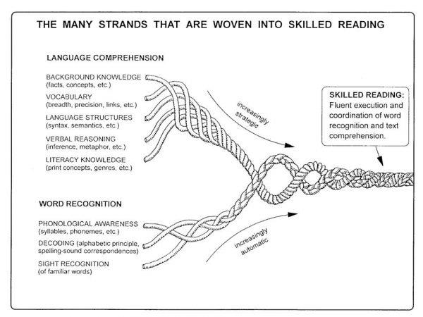 Build Strong Readers With The Scarborough Reading Rope - The Teach ...