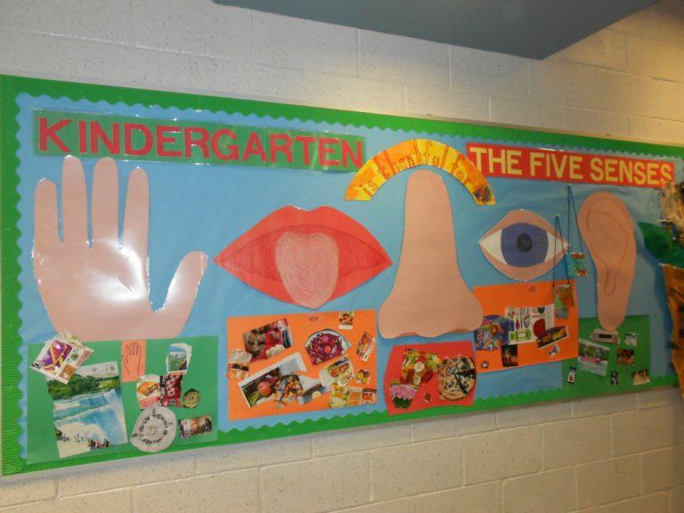 21 Fun & Fascinating Science Bulletin Board Ideas For Your Classroom ...