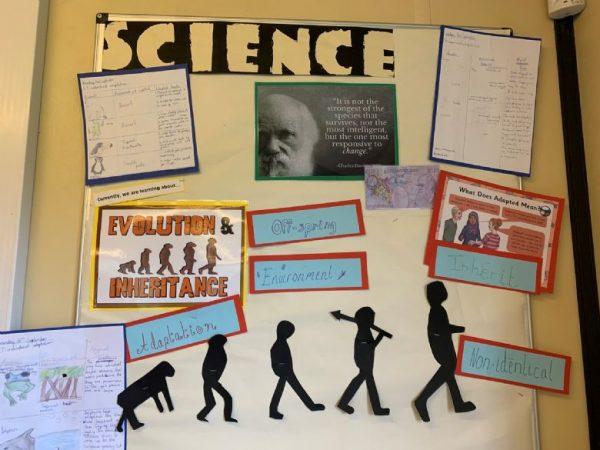 21 Fun & Fascinating Science Bulletin Board Ideas For Your Classroom ...