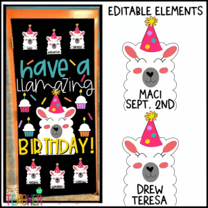 29 Birthday Bulletin Board Ideas to Make Students Feel Special - The ...