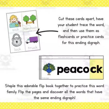 21 Best Phonics Anchor Charts For Teaching - The Teach Simple Blog