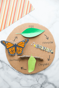 15 Bright & Beautiful Butterfly Bulletin Board Ideas for Your Classroom ...