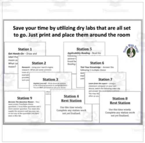 The Best Newton's Law Anchor Charts - The Teach Simple Blog