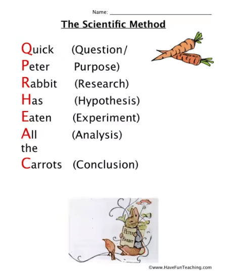 9 Best Worksheets for Understanding Scientific Method - The Teach ...