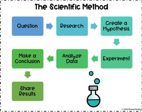 9 Best Worksheets for Understanding Scientific Method - The Teach ...