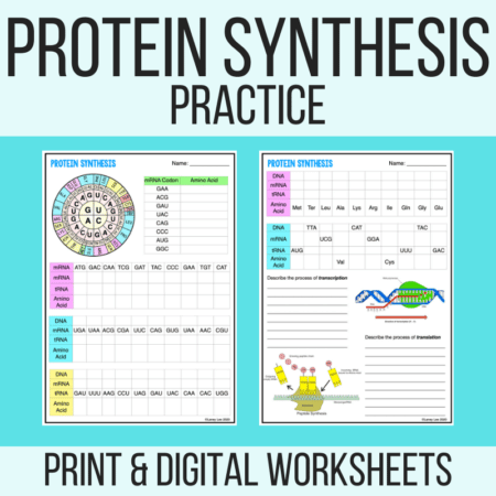 Step-by-Step Protein Synthesis Worksheet - The Teach Simple Blog