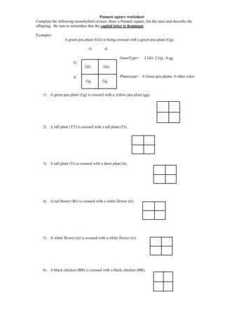 9 Hands-On Worksheet Punnett Square Worksheet - The Teach Simple Blog