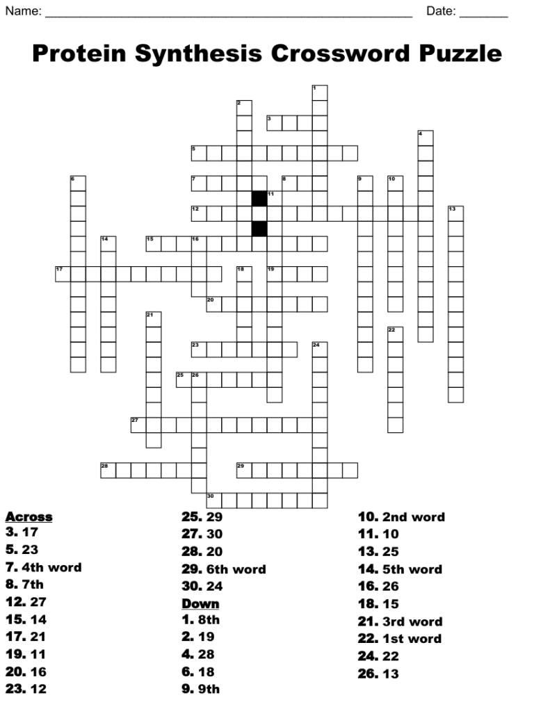 Step-by-Step Protein Synthesis Worksheet - The Teach Simple Blog