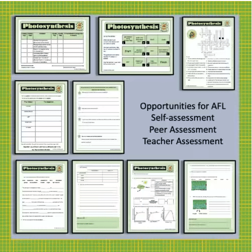 9 Best Worksheets for Exploring the Wonders of Photosynthesis - The ...