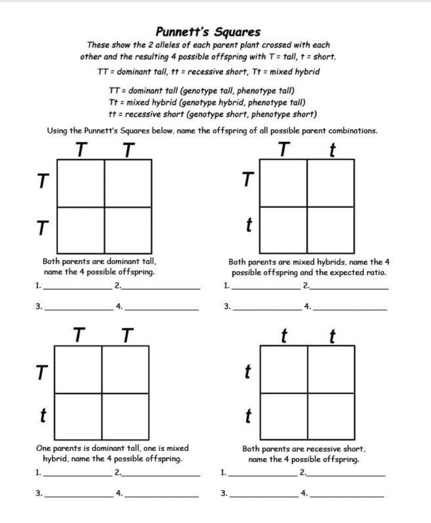 9 Hands-On Worksheet Punnett Square Worksheet - The Teach Simple Blog