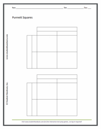 9 Hands-On Worksheet Punnett Square Worksheet - The Teach Simple Blog
