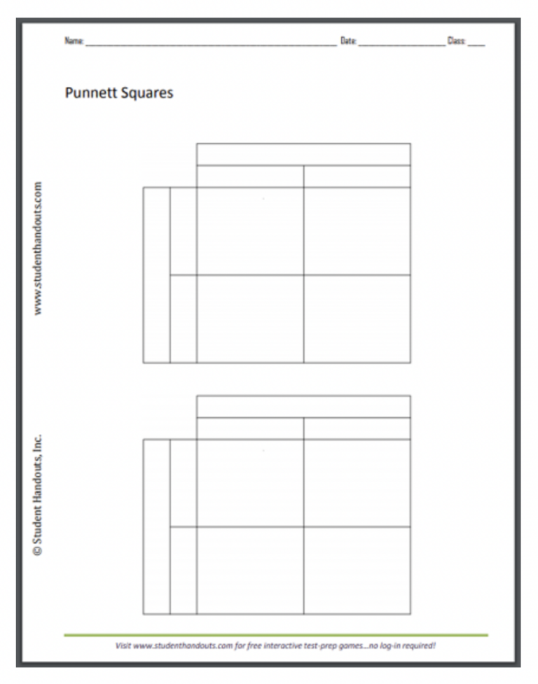 9 Hands-On Worksheet Punnett Square Worksheet - The Teach Simple Blog