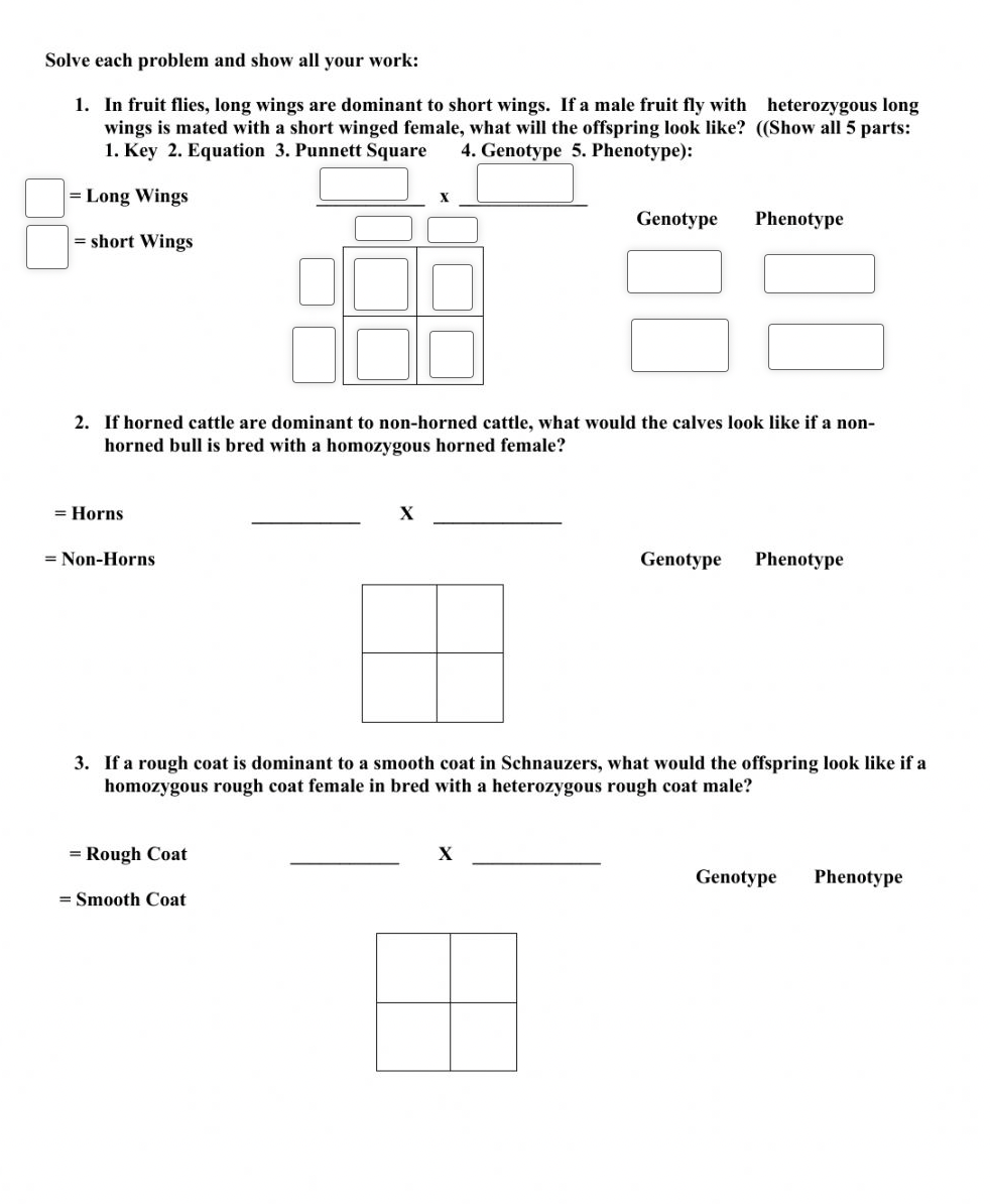 9 Hands-On Worksheet Punnett Square Worksheet - The Teach Simple Blog