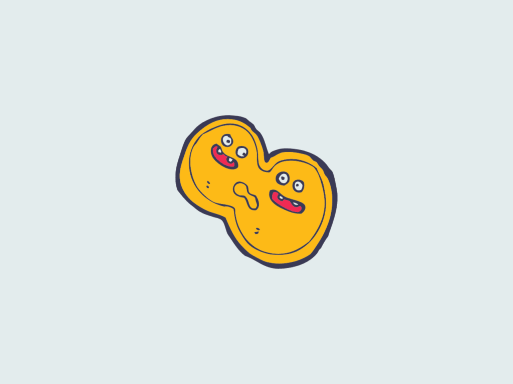 9 Biology Worksheet For Teaching Mitosis With Ease - The Teach Simple Blog