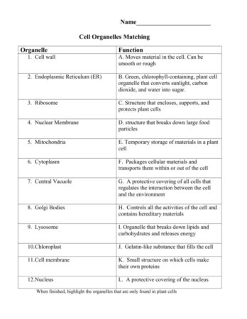Teaching Biology Concepts: 10 In-Depth Cell Organelles Worksheet - The ...