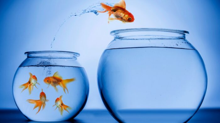 Dive Into Dialogue With The Fishbowl Discussions - The Teach Simple Blog