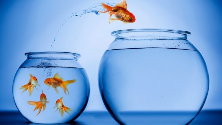 Dive Into Dialogue With The Fishbowl Discussions - The Teach Simple Blog