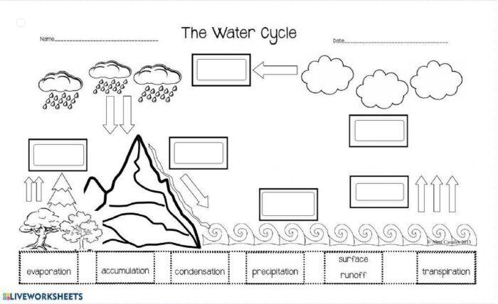 The Amazing Water Cycle: 9 Best Interactive Worksheets for Kids - The ...