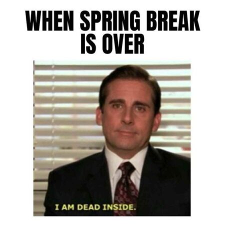 35 Teachers on Spring Break Memes To Brighten Up Your Day