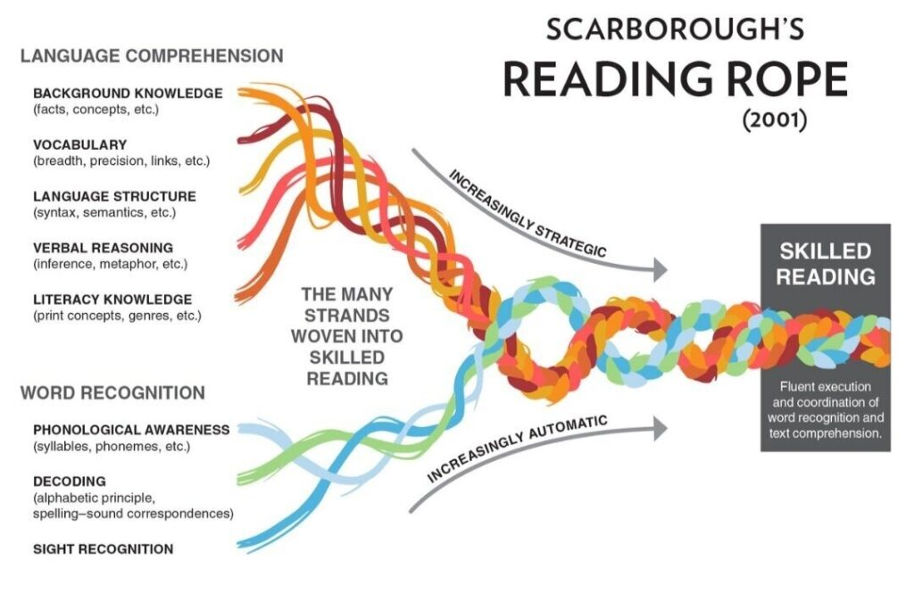 Build Strong Readers With The Scarborough Reading Rope - The Teach ...