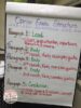 Opinion Writing Anchor Chart: A Brief Guide With Examples