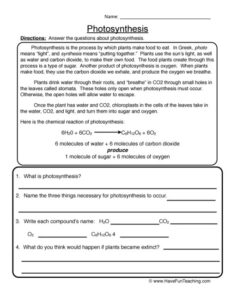 9 Best Worksheets For Exploring The Wonders Of Photosynthesis - The ...