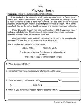 9 Best Worksheets For Exploring The Wonders Of Photosynthesis - The ...