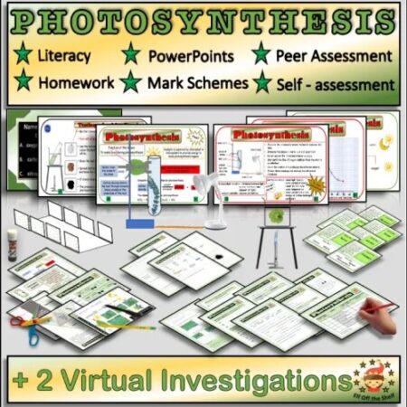 9 Best Worksheets For Exploring The Wonders Of Photosynthesis - The ...