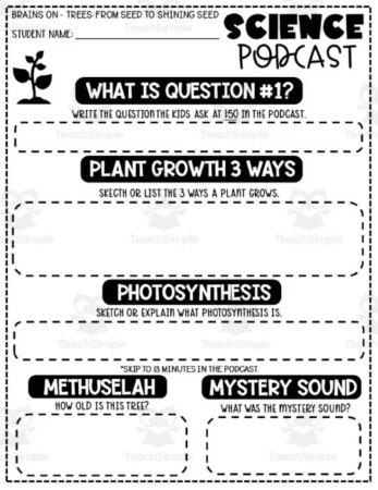 9 Best Worksheets For Exploring The Wonders Of Photosynthesis - The ...