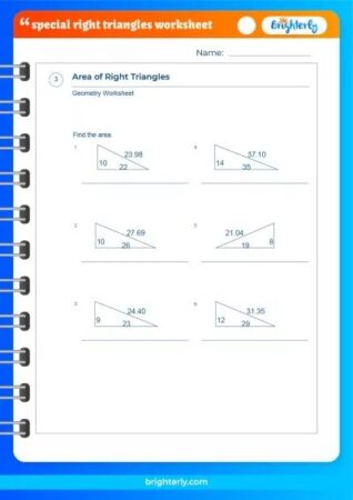 Our Favorite Special Right Triangles Worksheet - The Teach Simple Blog