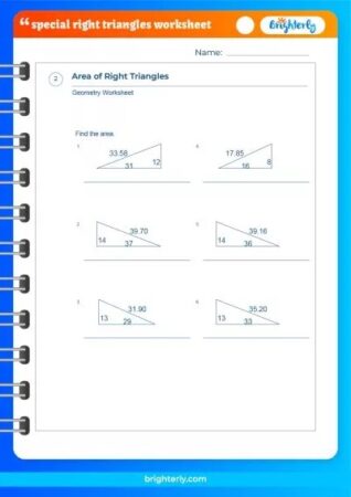 Our Favorite Special Right Triangles Worksheet - The Teach Simple Blog