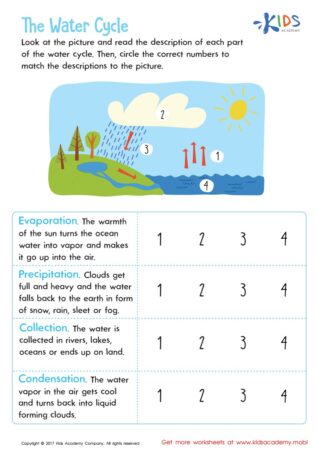 The Amazing Water Cycle: 9 Best Interactive Worksheets for Kids - The ...