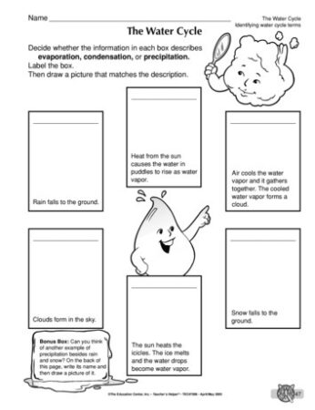 The Amazing Water Cycle: 9 Best Interactive Worksheets for Kids - The ...