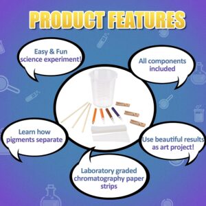 33 Engaging & Inspiring 1st Grade Science Projects - The Teach Simple Blog