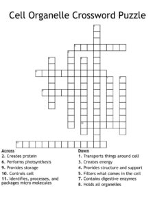 Teaching Biology Concepts: 10 In-Depth Cell Organelles Worksheet - The ...
