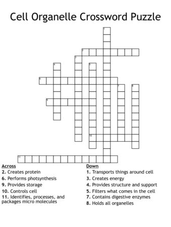 Teaching Biology Concepts: 10 In-Depth Cell Organelles Worksheet - The ...