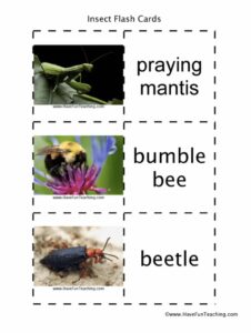 19+ Effective 1st Grade Flash Card Sets - The Teach Simple Blog