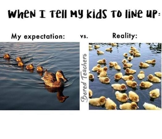 30 Best Kindergarten Teacher Memes That Will Make Your Day