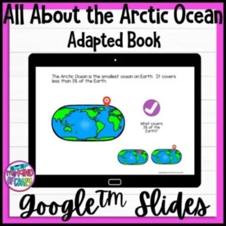 17 Interesting 1st Grade Social Studies Worksheets For Kids - The Teach ...
